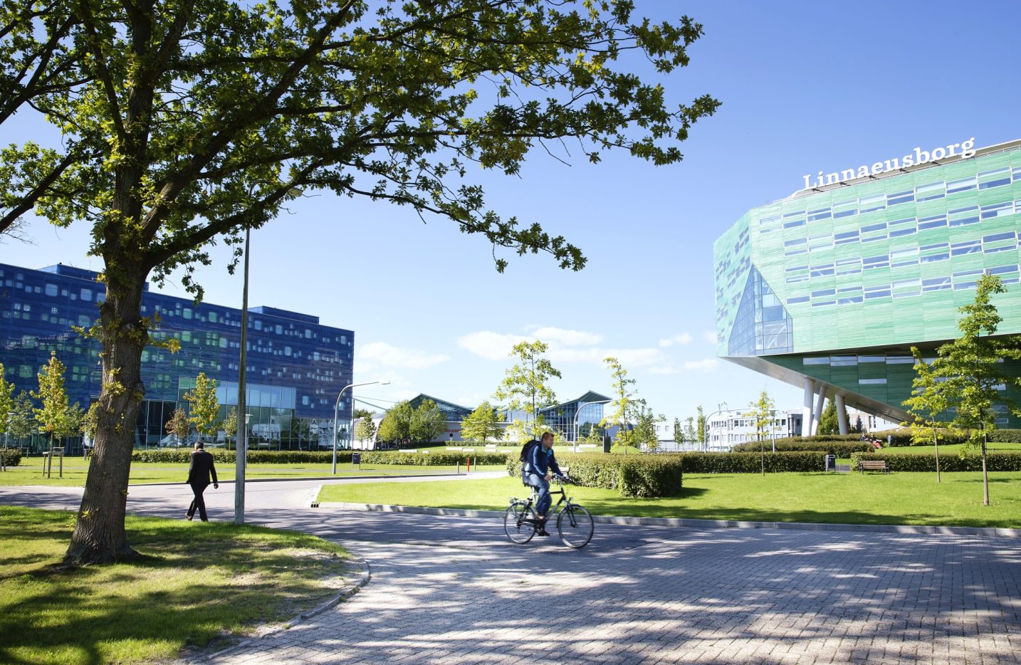 Home - Ubbo Emmius Foundation